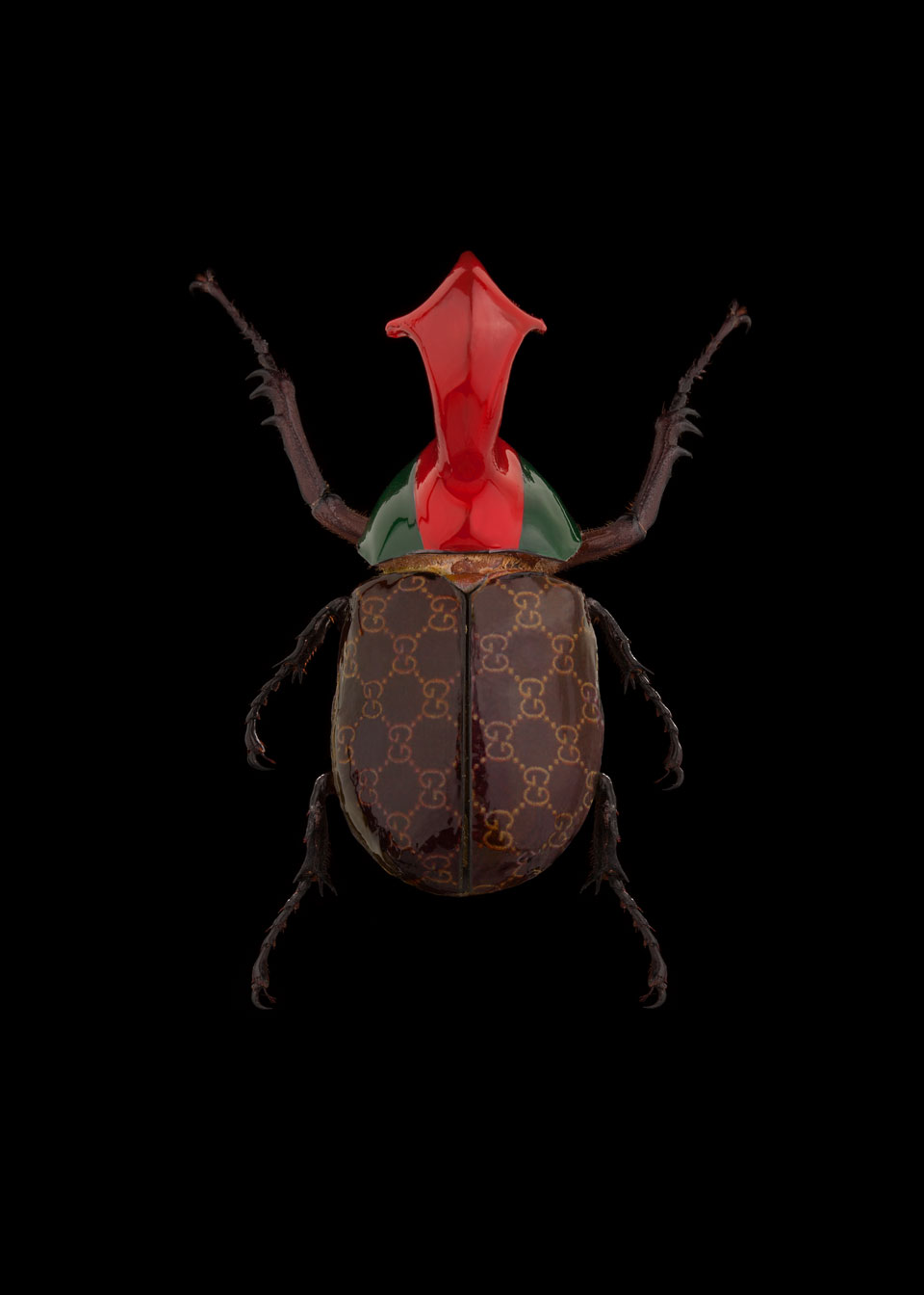 Beetles - Strange Beast